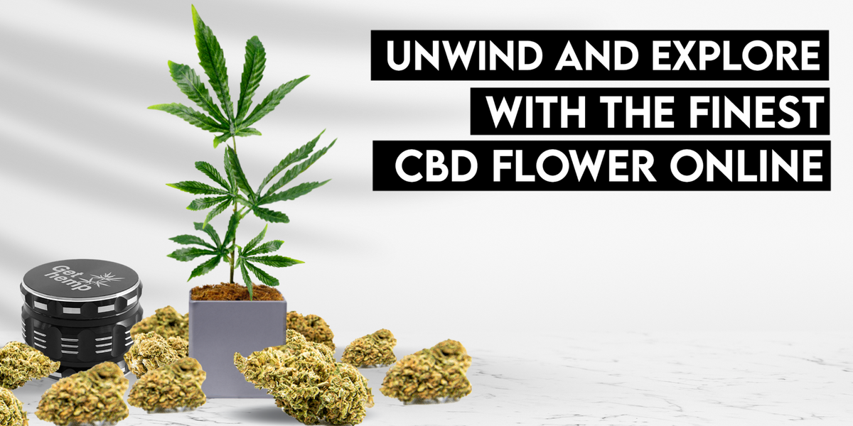Unwind and Explore with the Finest CBD Flower Online — Gethemp